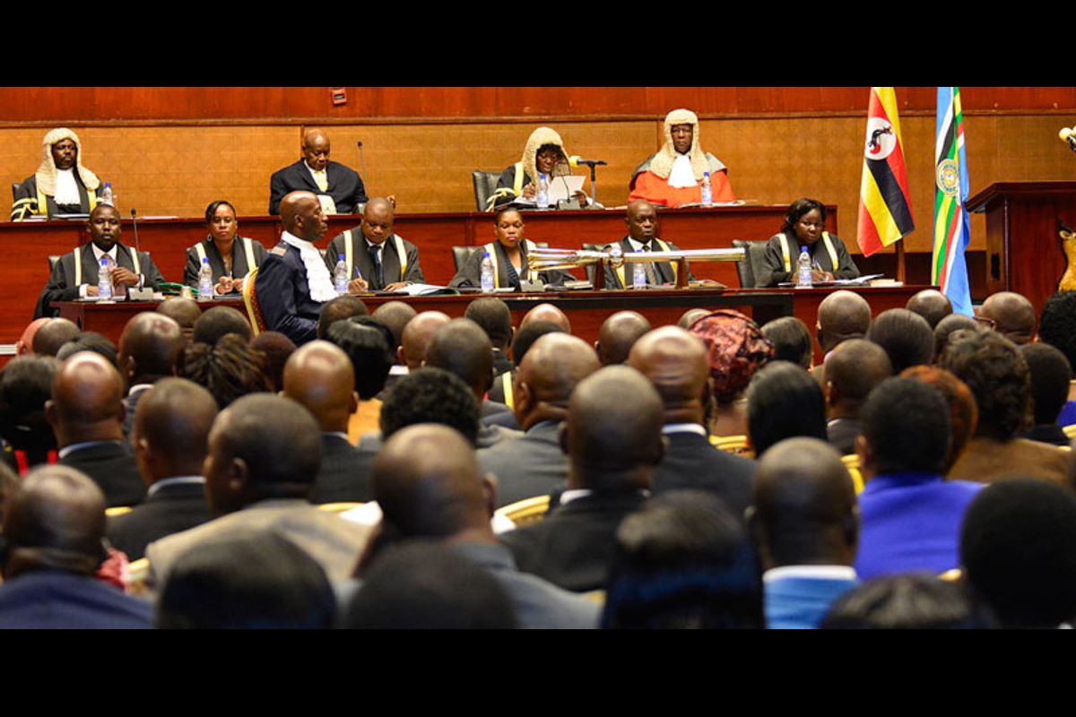 How committees help Parliament work with the public | The Sunrise Newspaper