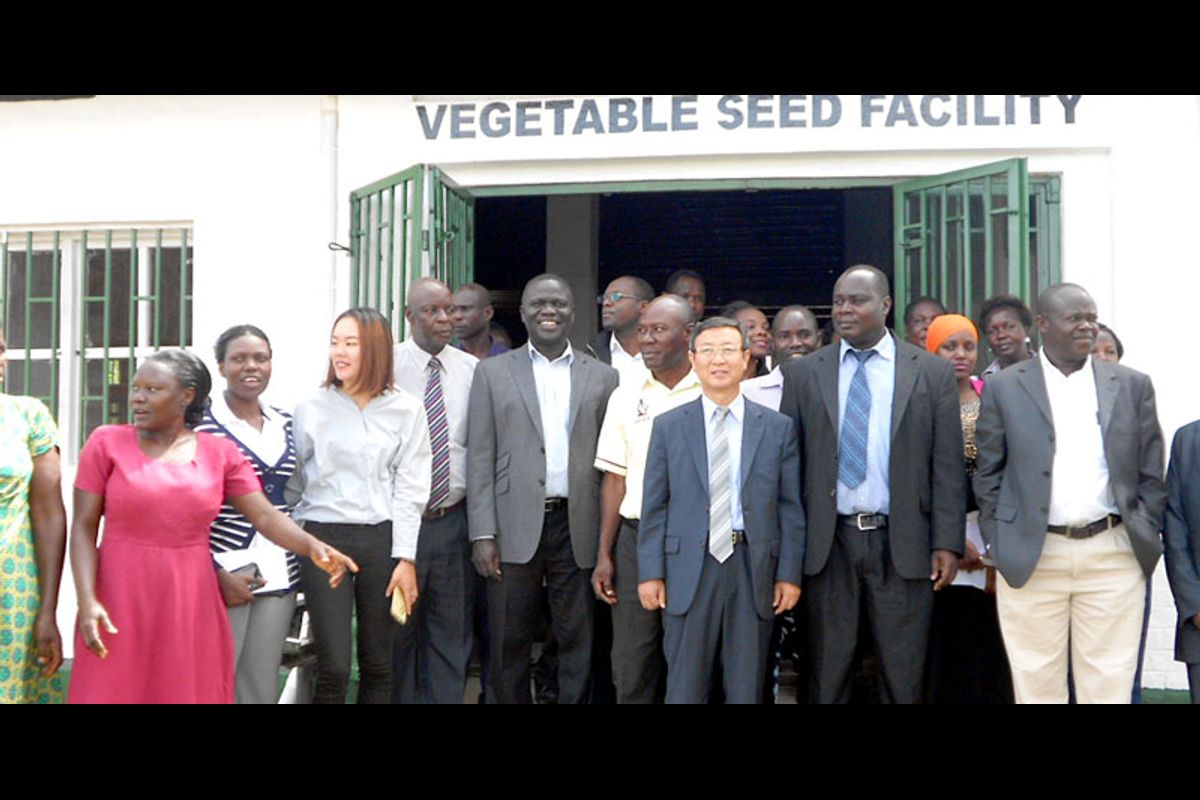 Vegetable seed production starts at Namulonge | The Sunrise Newspaper