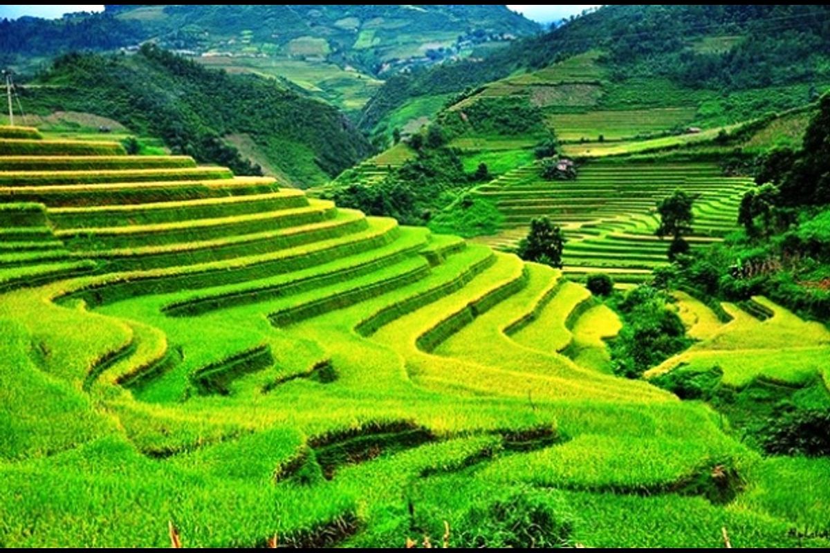 Make your hill productive with contour farming | The Sunrise Newspaper