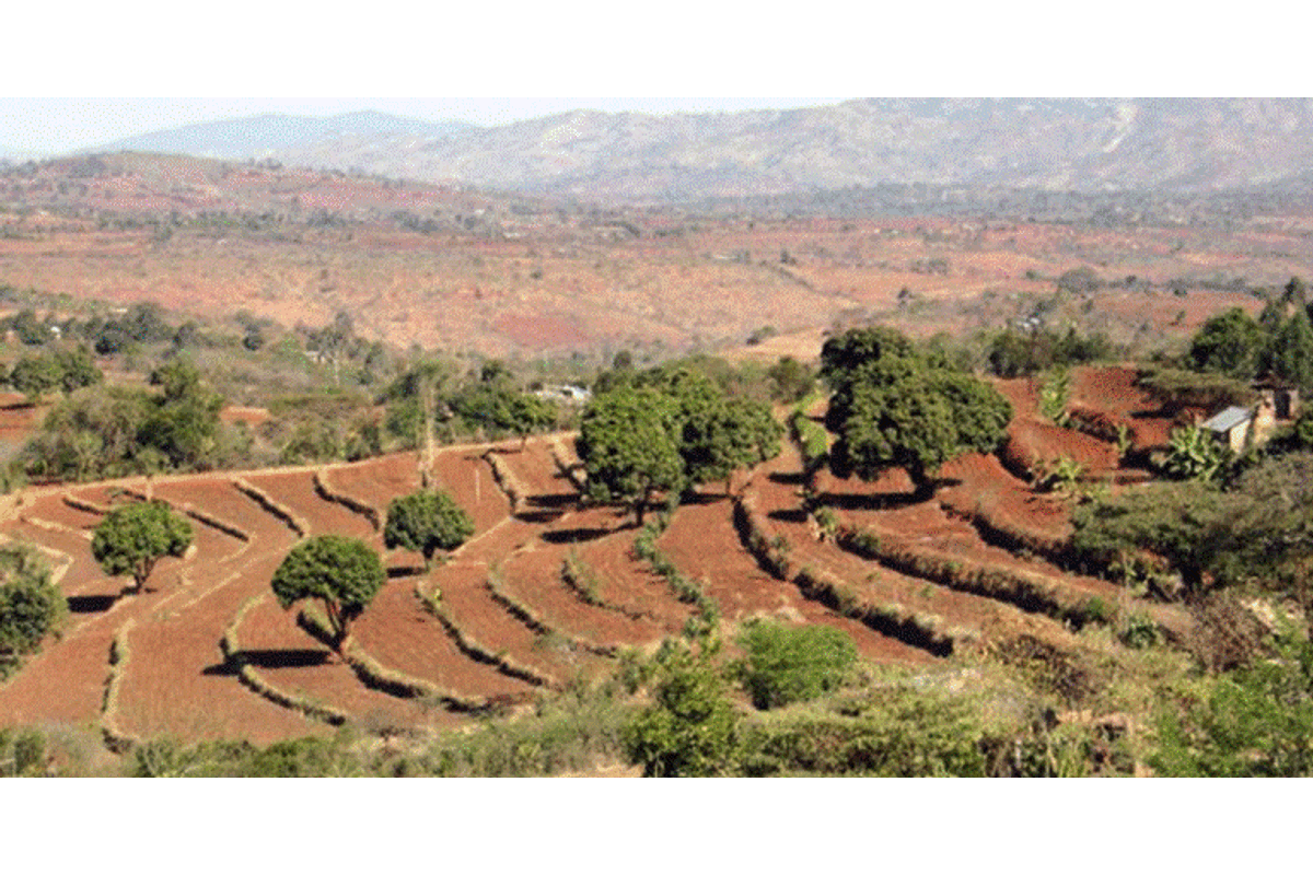 Manage soil and water with trash lines | The Sunrise Newspaper