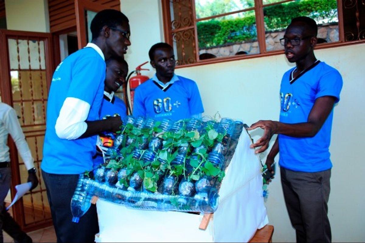 WWF ’60+ earth hour’ walk against plastic waste | The Sunrise Newspaper