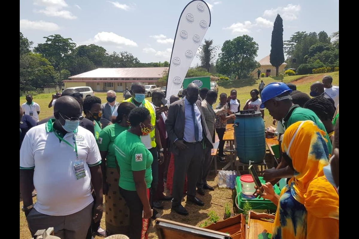 Little hands Go Green plant trees in Masindi to commemorate ...