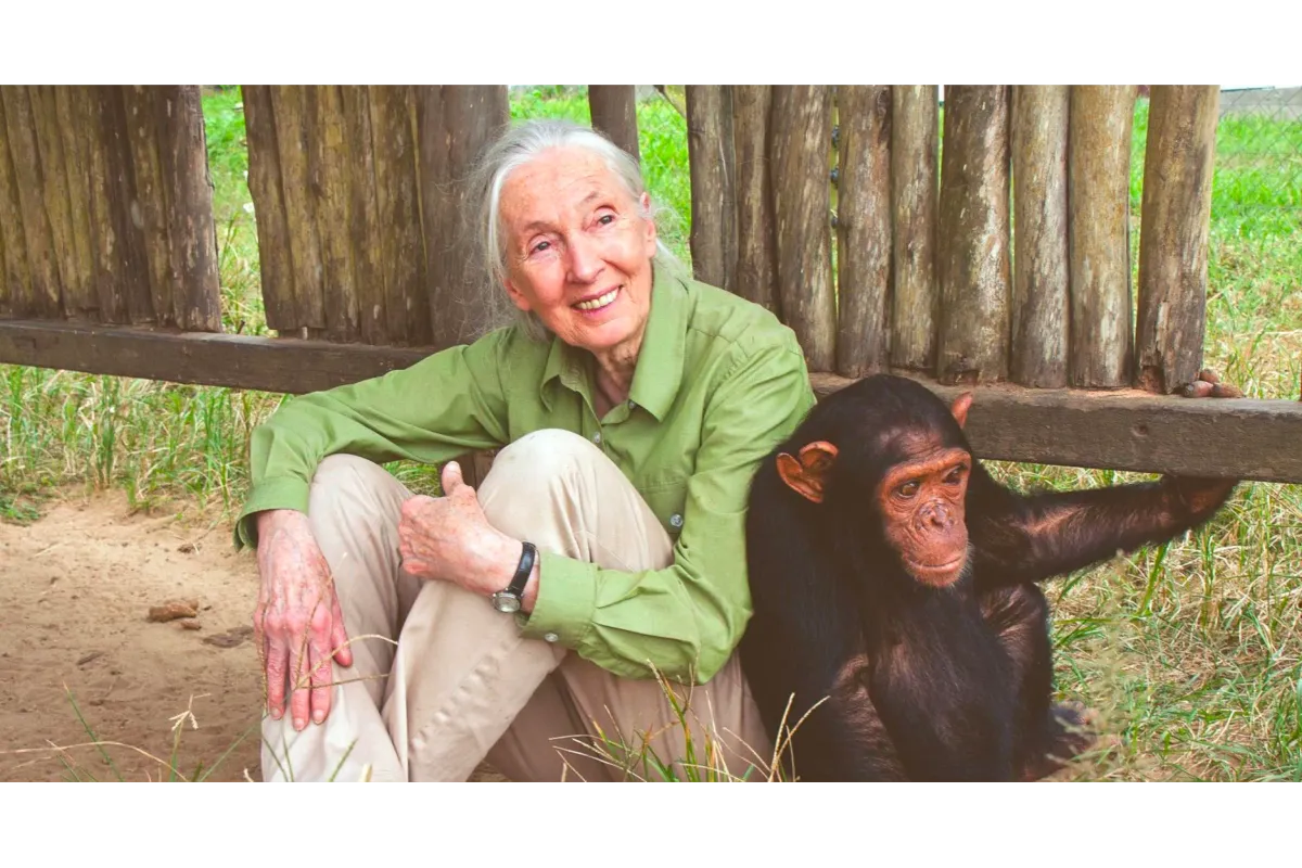 Ugandan Environmentalists Honor the Legacy of Dr. Jane Goodall | The ...