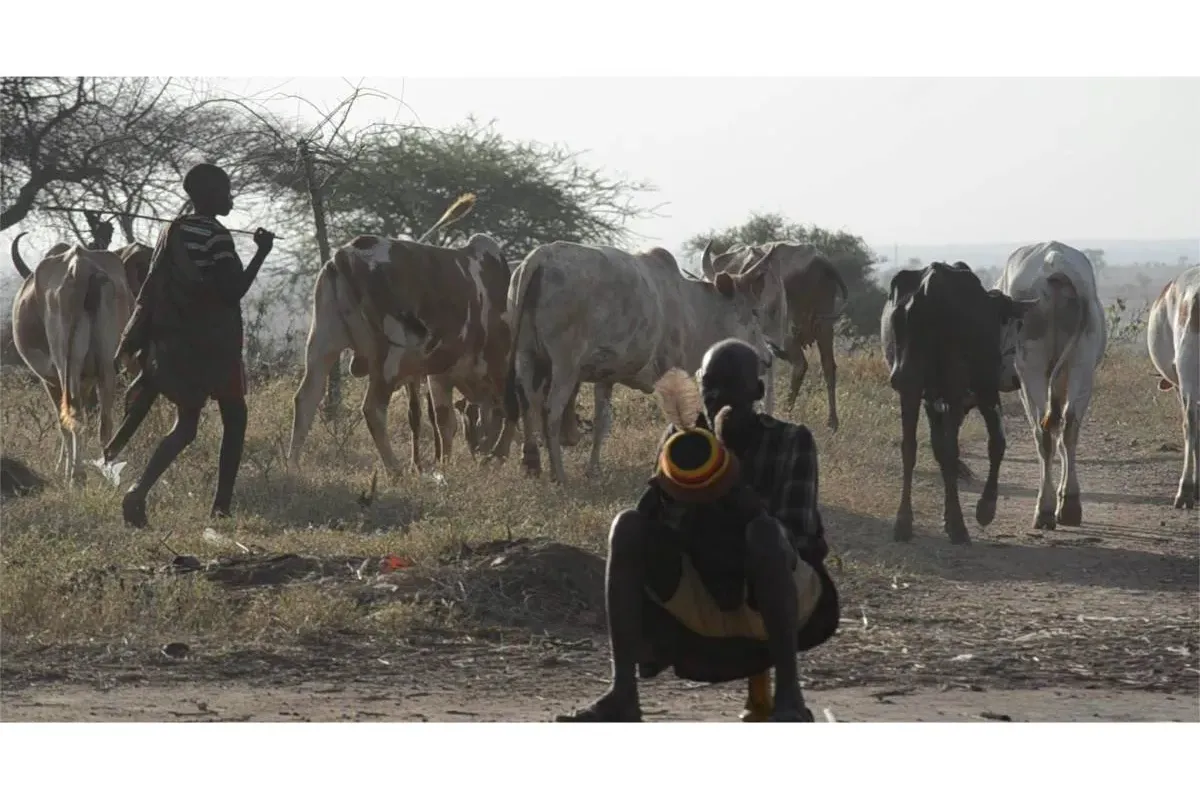 Karamoja Pastoralists Face Severe Water Crisis as Climate Change Dries ...