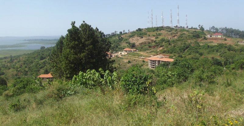 Gov’t, should compensate Entebbe road residents for their homes | The ...